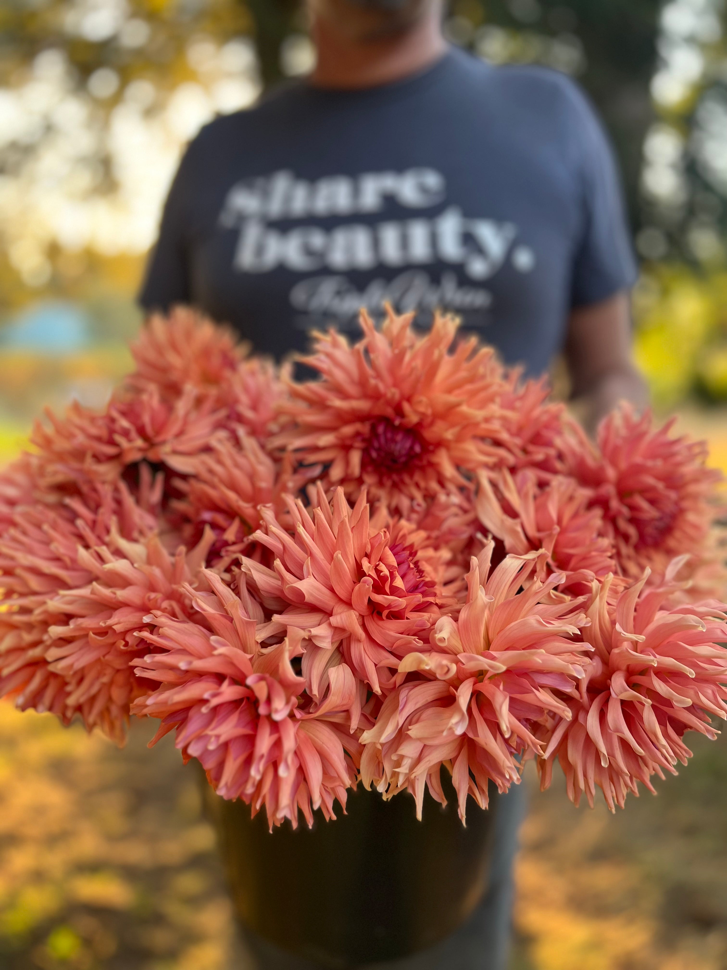 Terracotta Dahlia Tuber – Triple Wren Farms