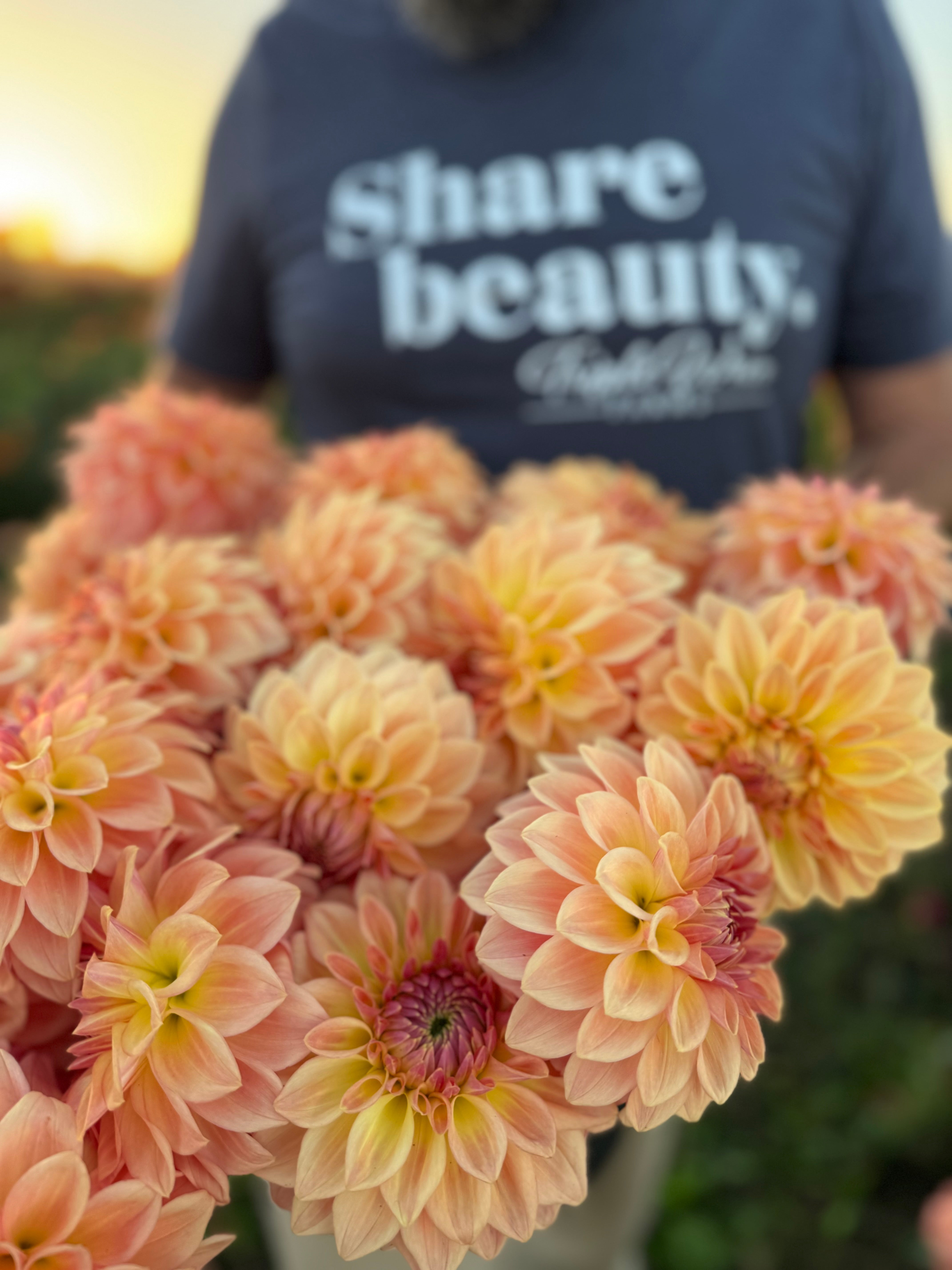 Bloomquist Alan Dahlia Tuber – Triple Wren Farms