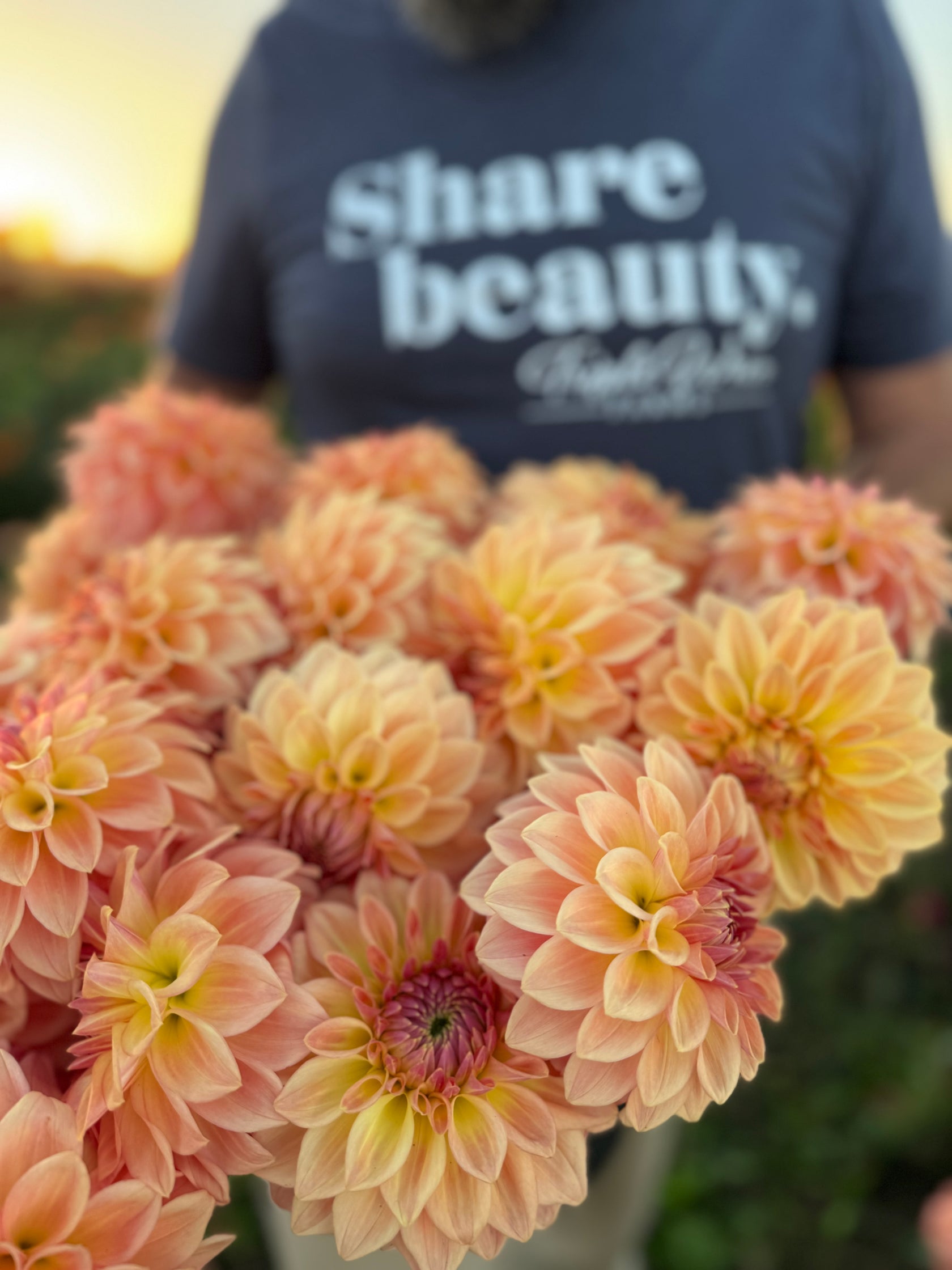 Bloomquist Alan Dahlia Tuber – Triple Wren Farms