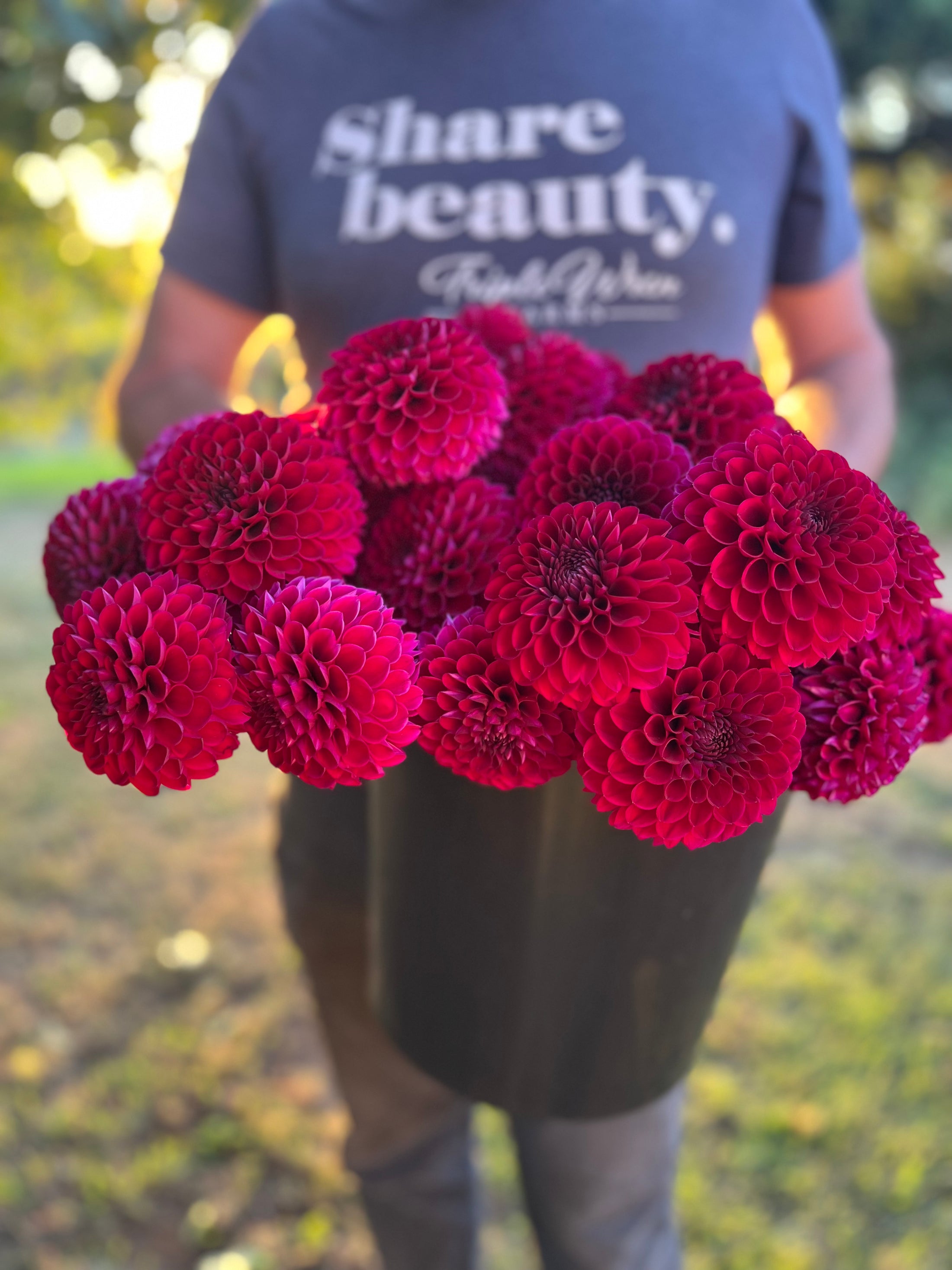 Jessie G Dahlia Tuber – Triple Wren Farms