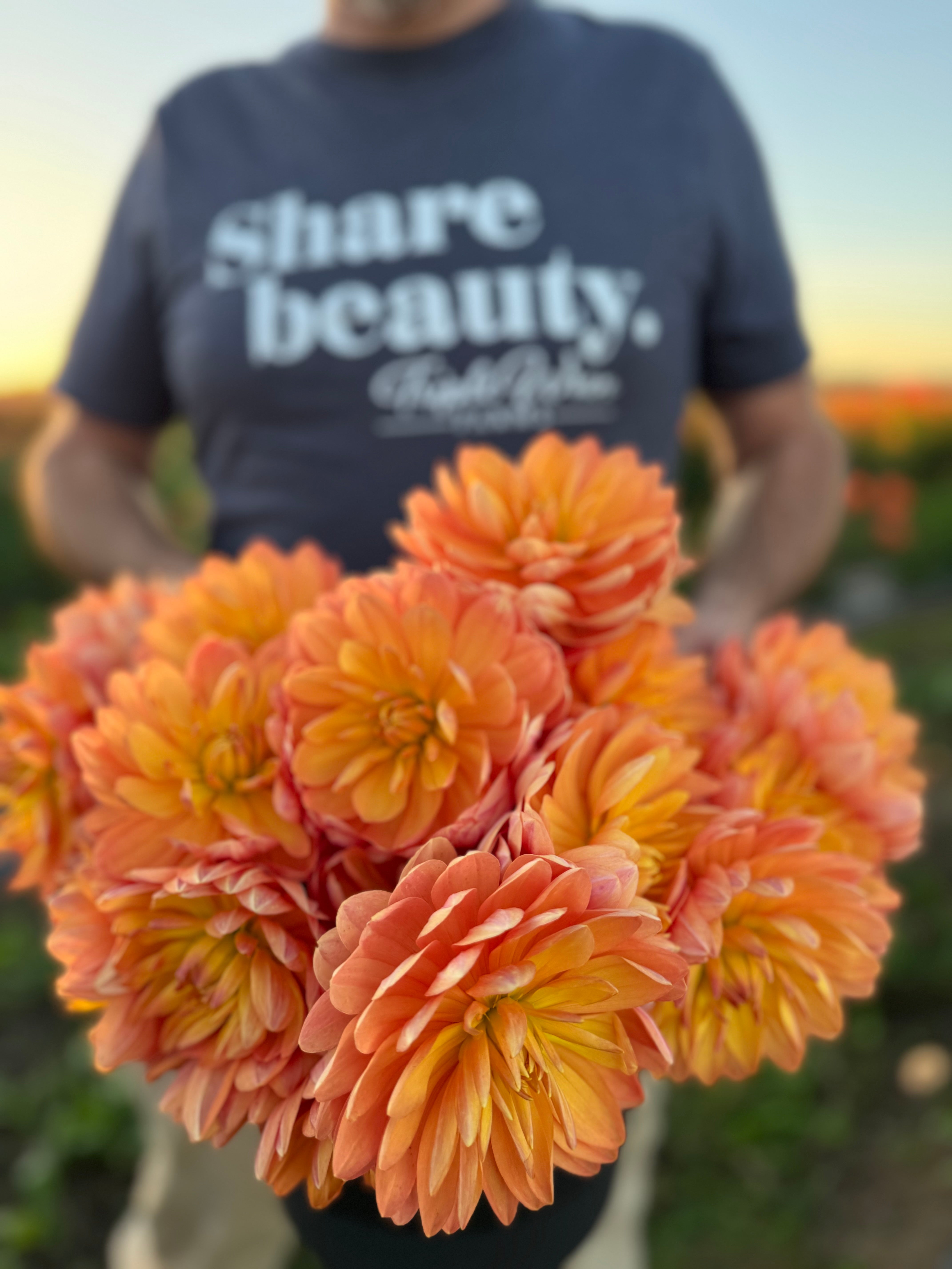Sandia Susan Dahlia Tuber – Triple Wren Farms