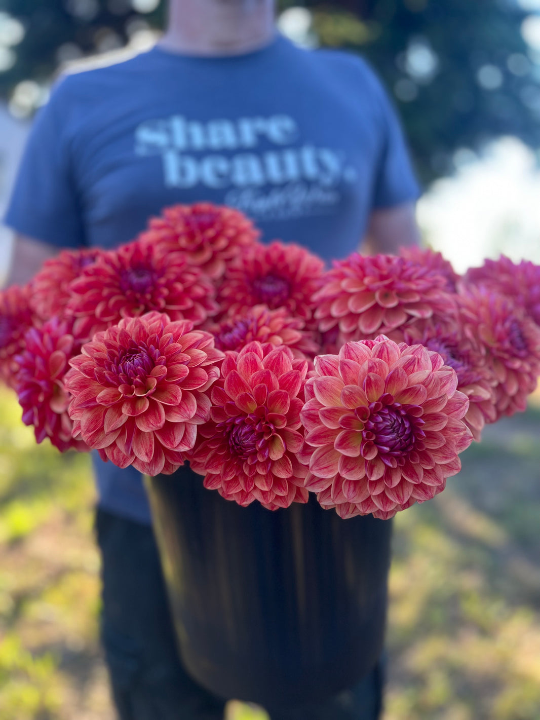 All Dahlia Tubers – Triple Wren Farms