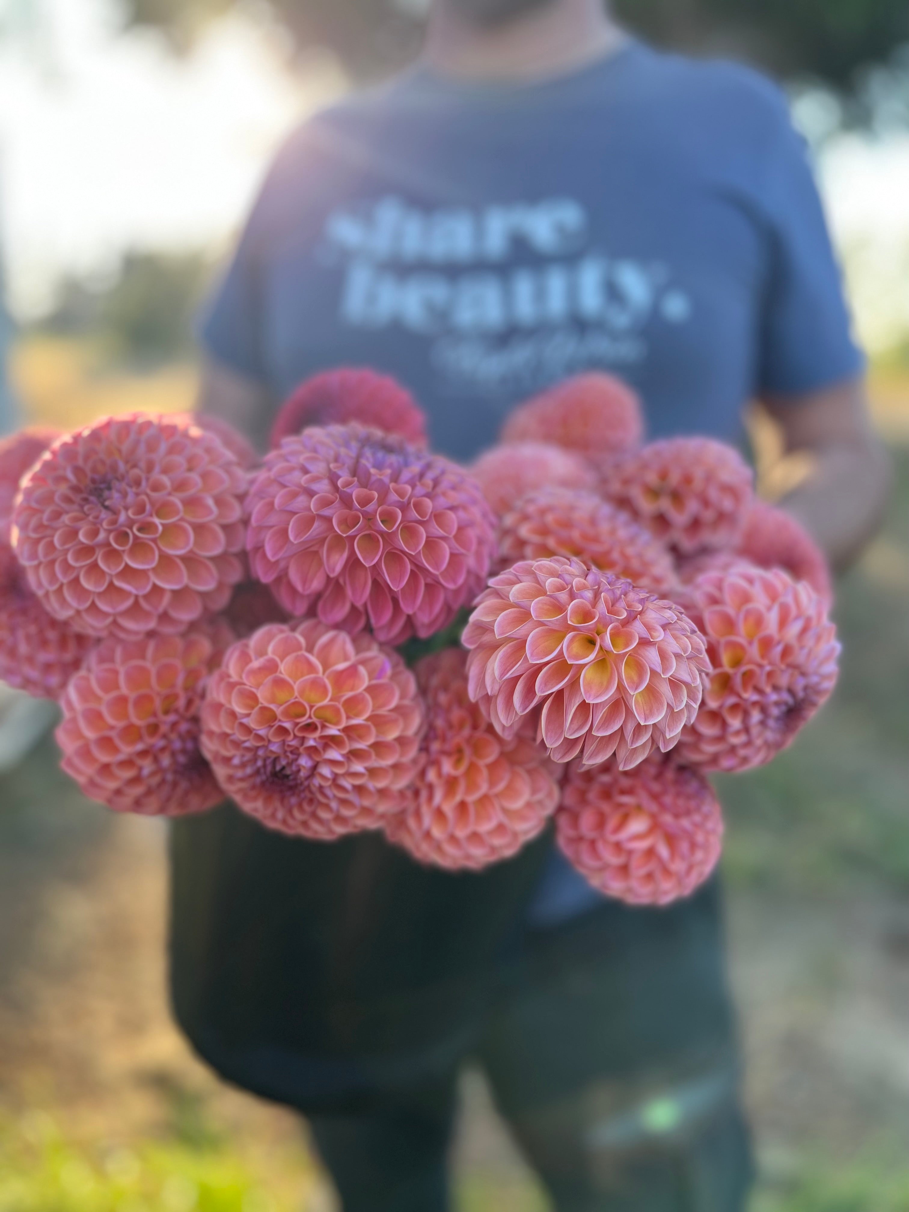 Jowey Winnie Dahlia Tuber – Triple Wren Farms