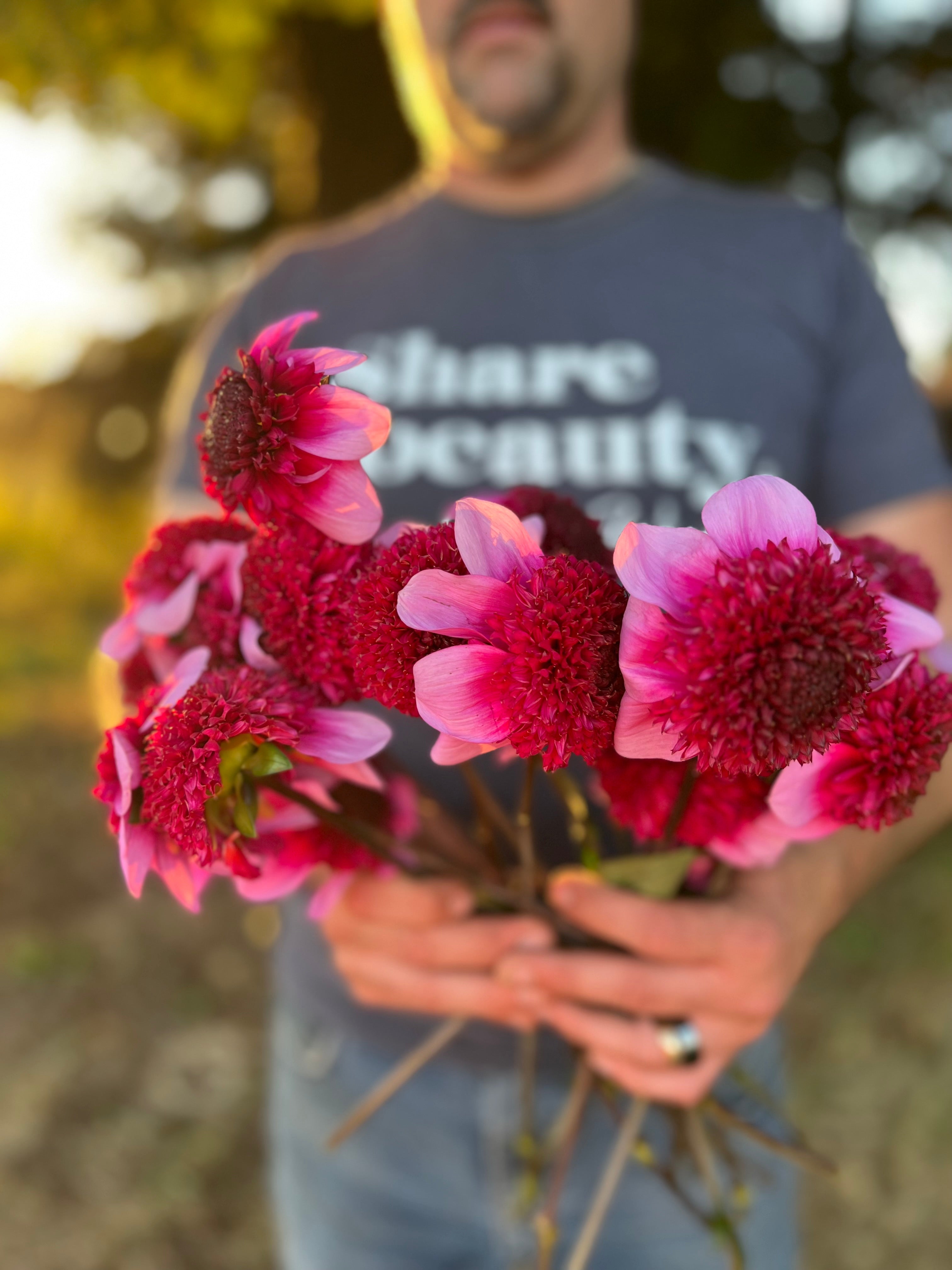 GG's Ruby Tuesday Dahlia Tuber – Triple Wren Farms
