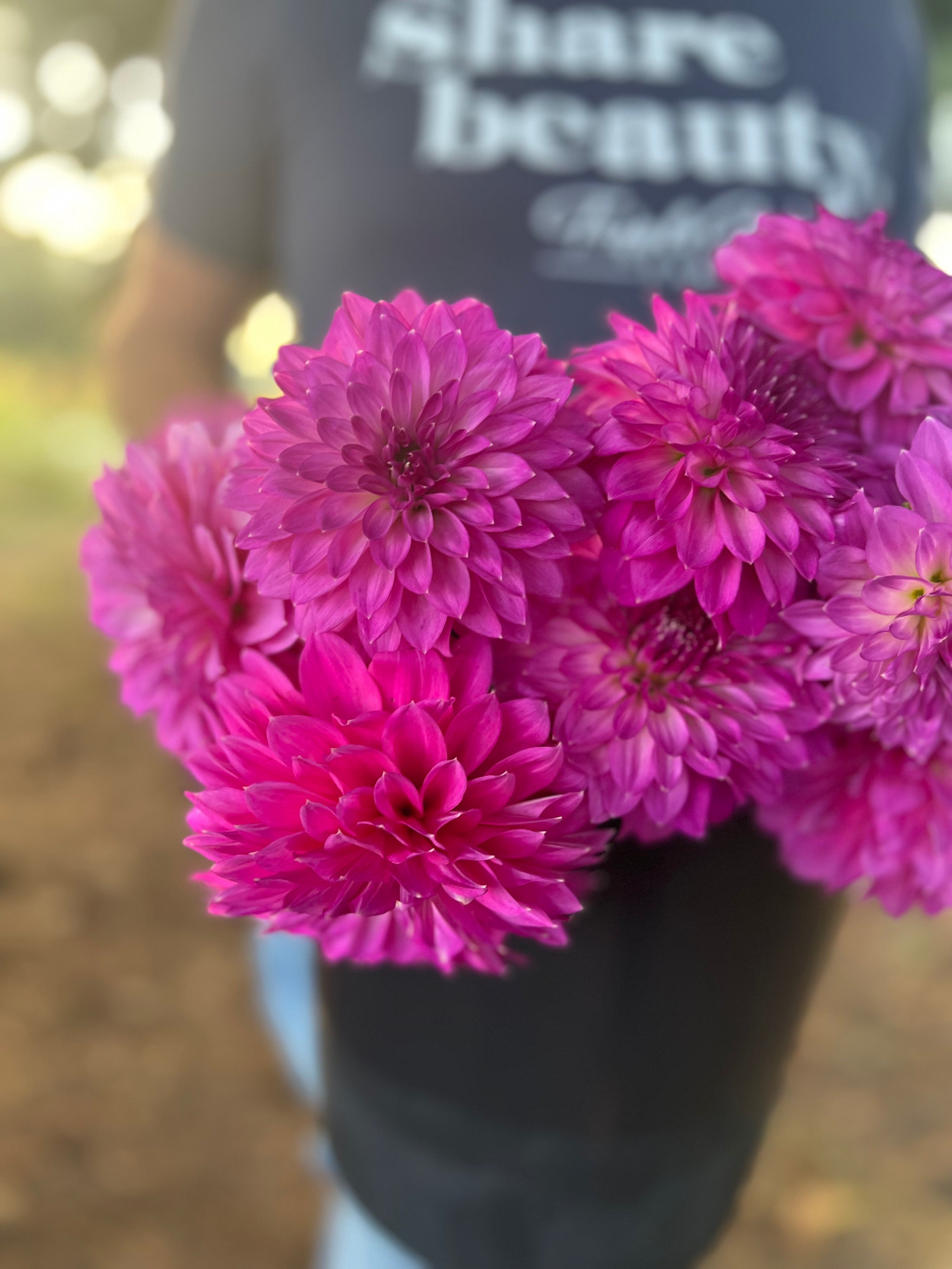 Bloomquist Clear Delight Dahlia Tuber – Triple Wren Farms