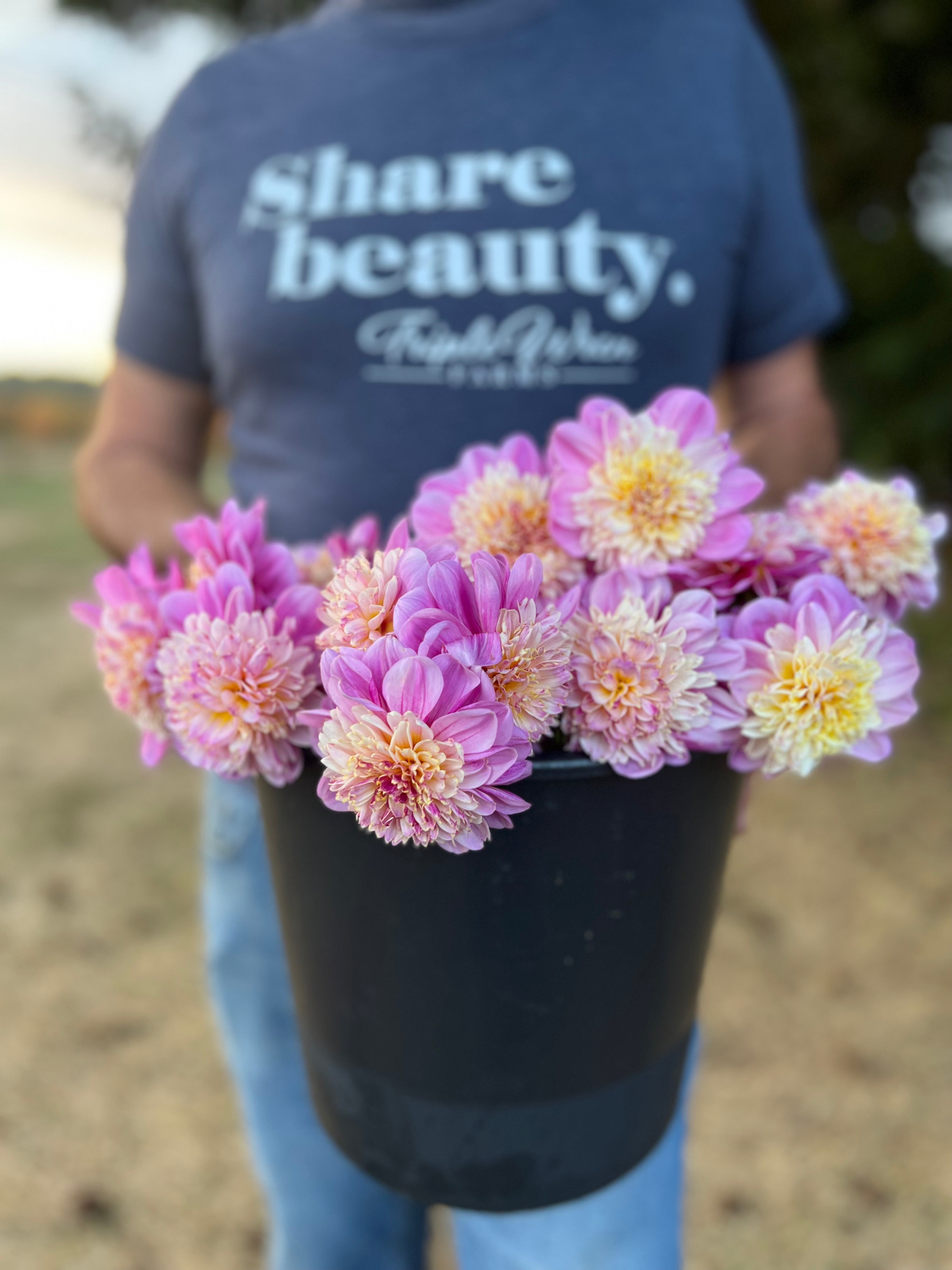 Take Off Dahlia Tuber – Triple Wren Farms