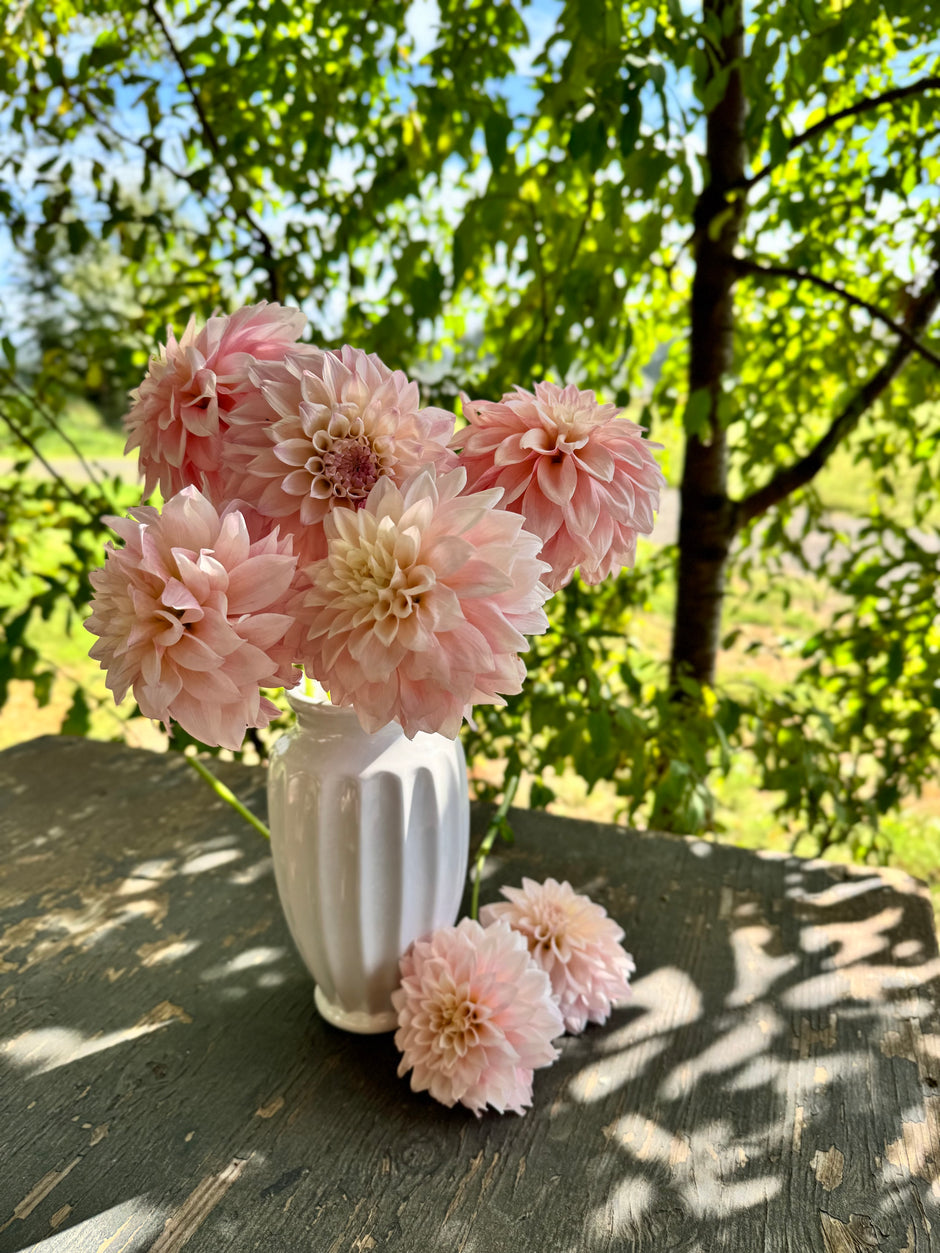 Triple Wren Farms – Triple Wren Farms