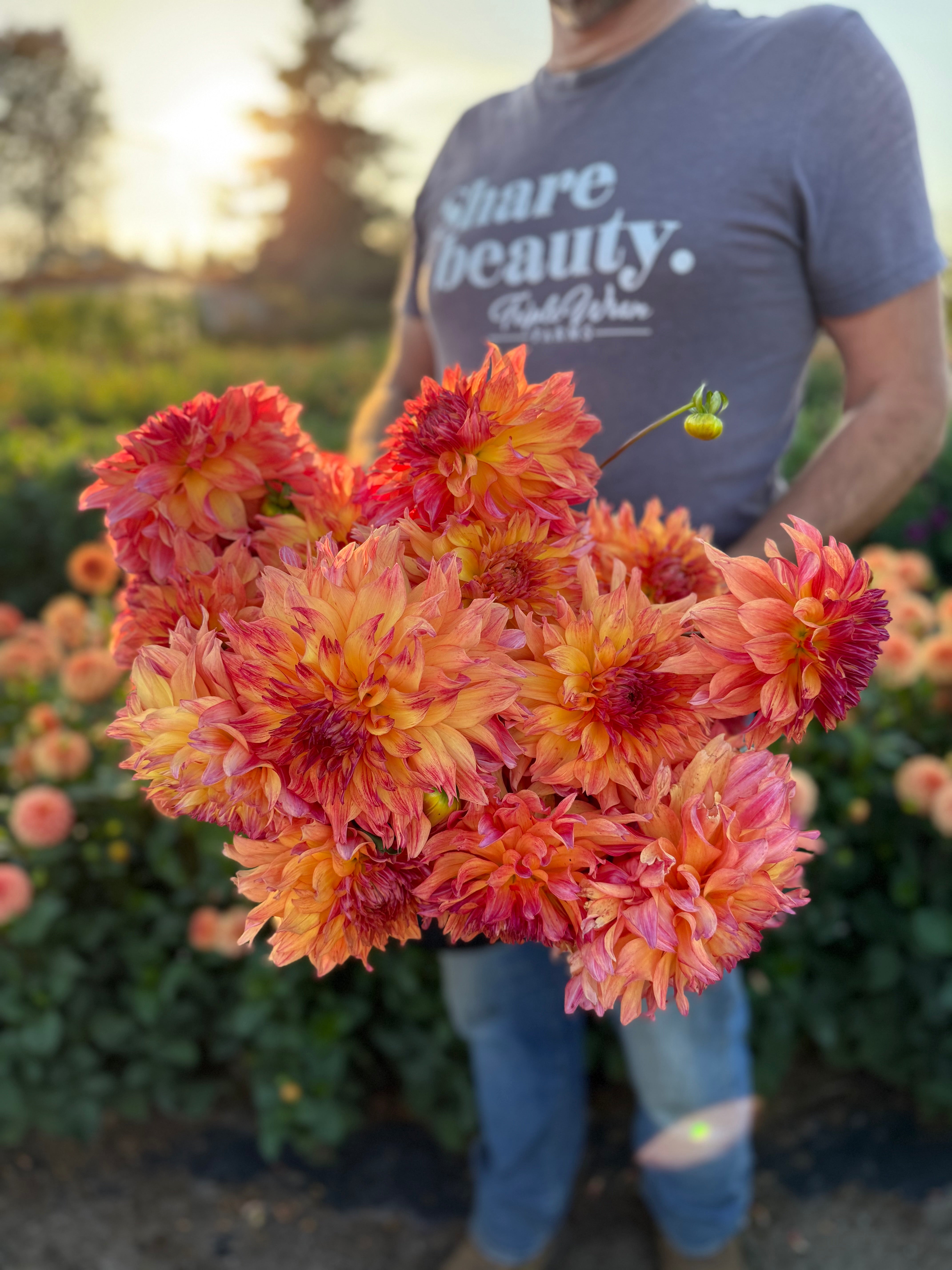 Ms Lisa Dahlia Tuber – Triple Wren Farms