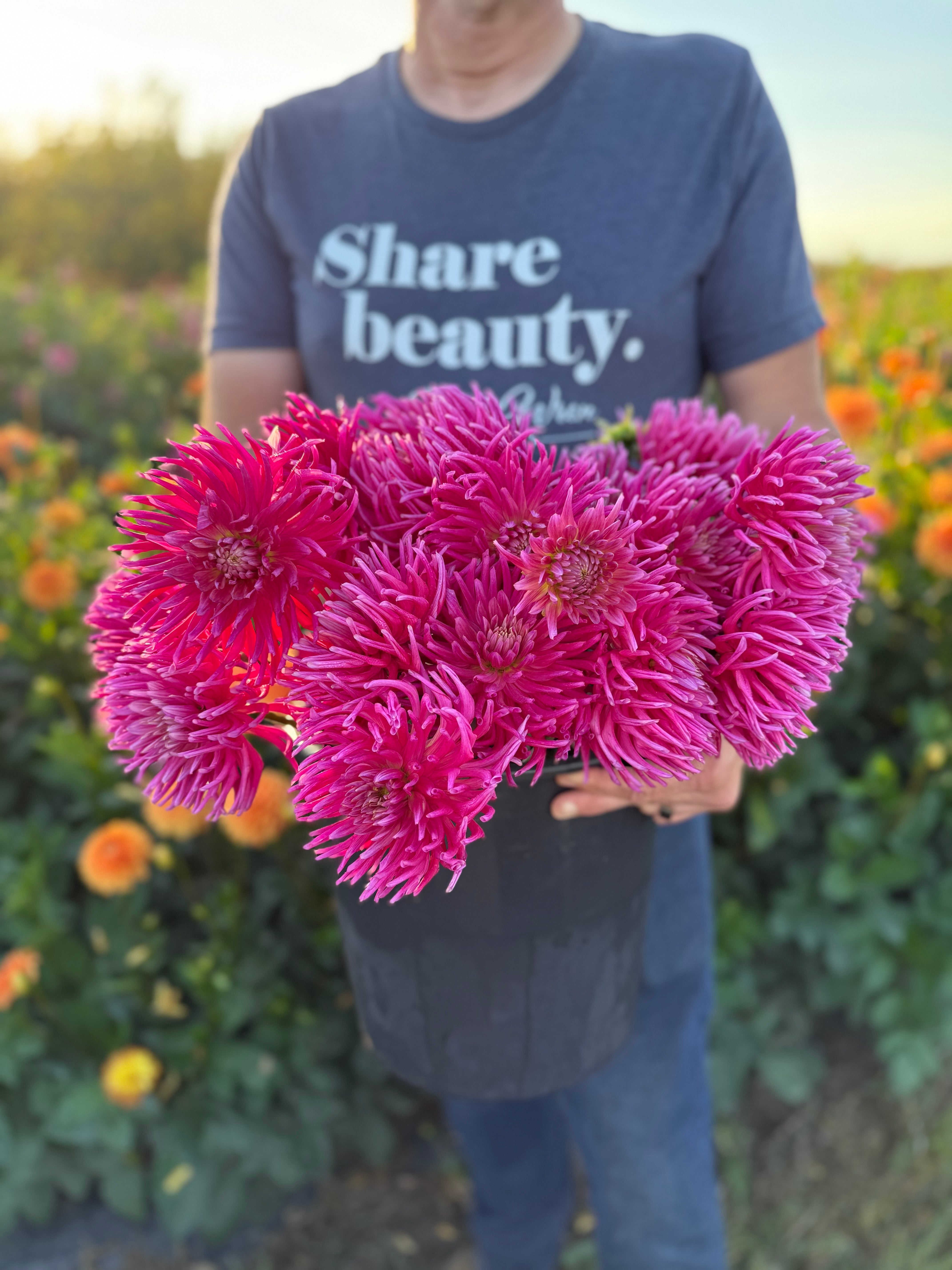 Salish Winds Dahlia Tuber – Triple Wren Farms