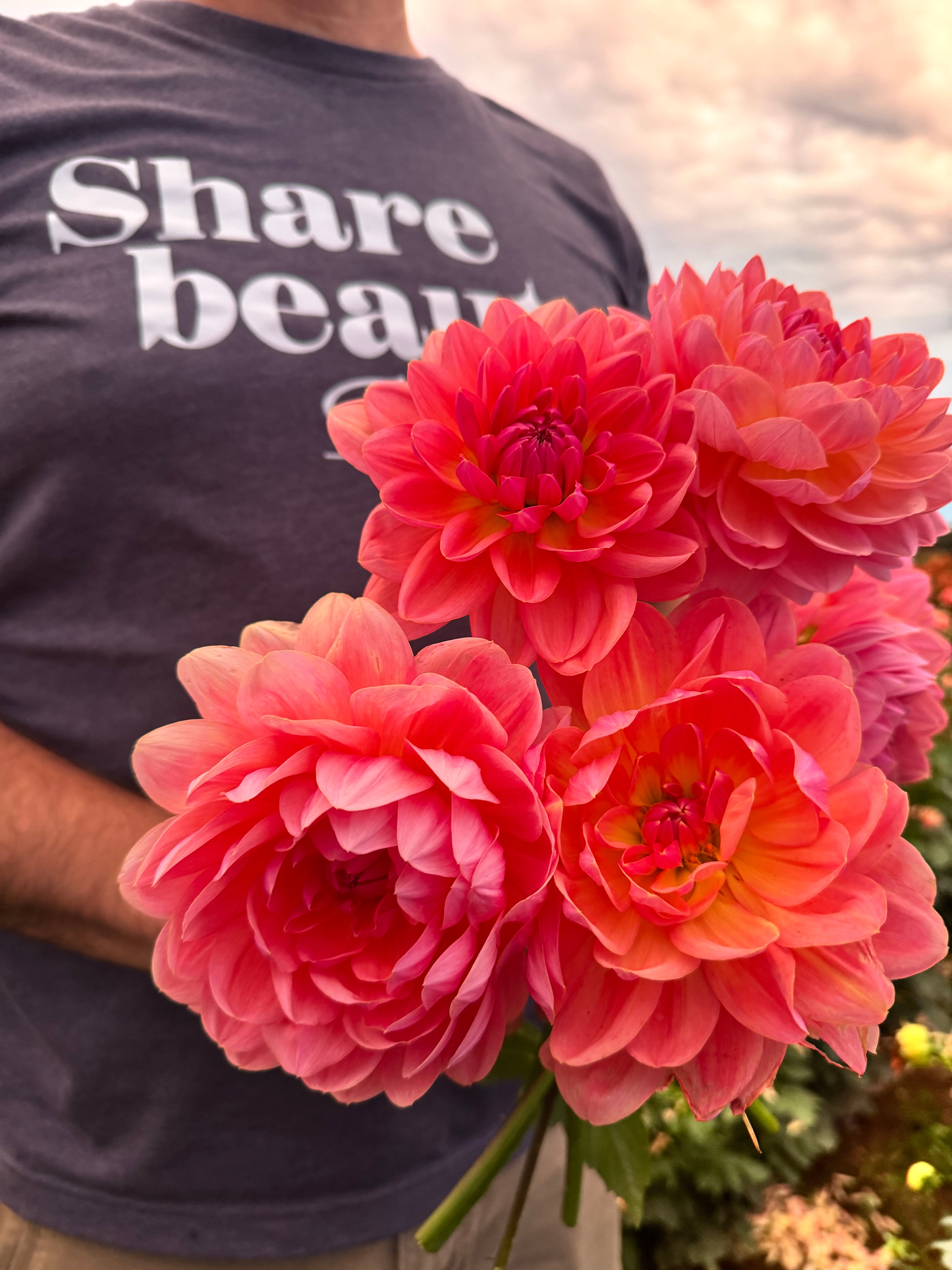 Wildwood Marie Dahlia Tuber – Triple Wren Farms